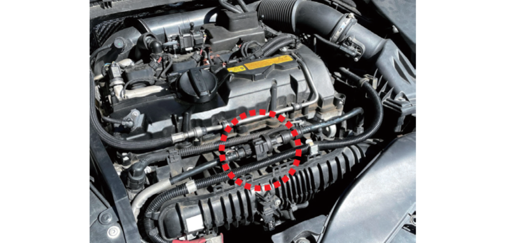 ThankYou! NewsLetter - WITHFORMATION